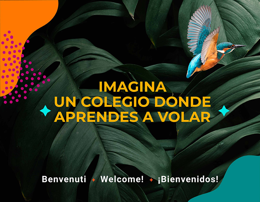 Inicio - COLEGIO ALBORADA